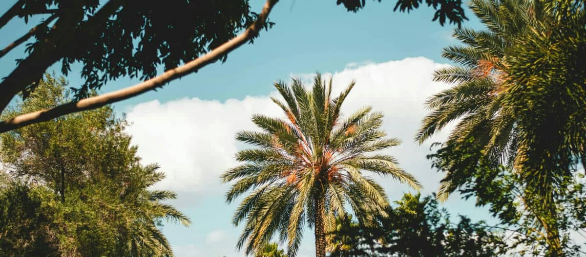 Ten things about Lomé | ONOMO Hotels